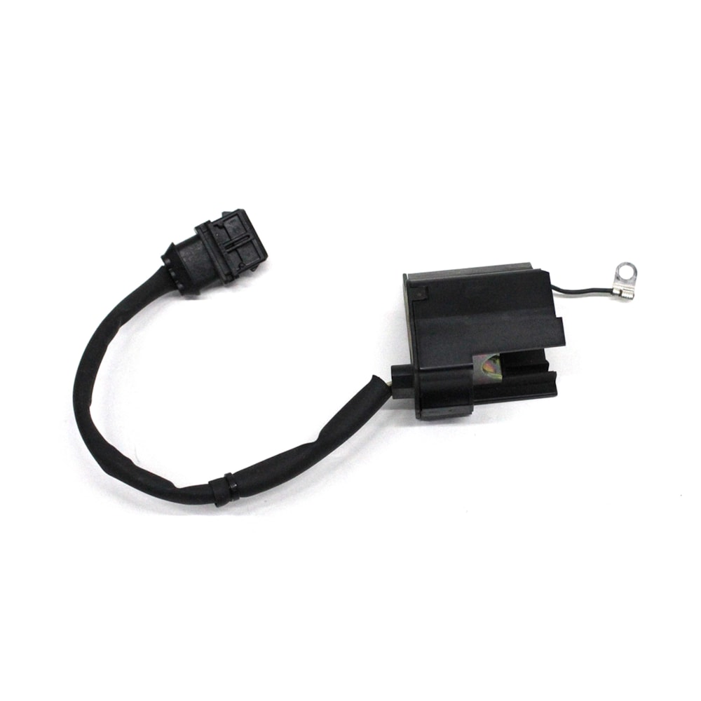 MWM | 0281005029 | MODULO DE CONTROLE SOLENOIDE BOMBA INJ... | Msam